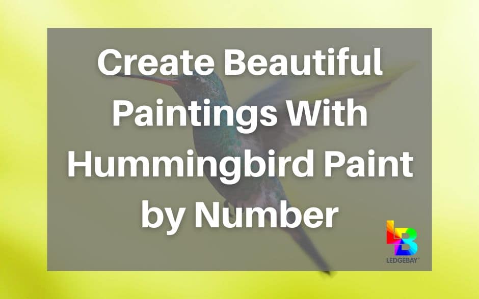 Create Beautiful Paintings With Hummingbird Paint by Number – Ledgebay