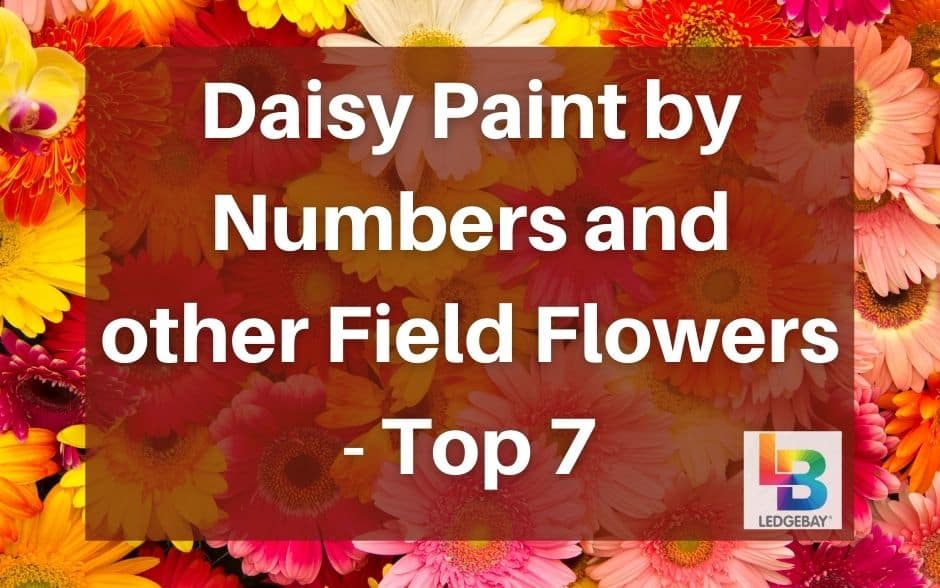 Daisy Paint by Numbers and other Field Flowers - Top 7 – Ledgebay