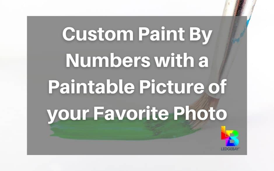 Custom Paint By Numbers with a Paintable Picture – Ledgebay